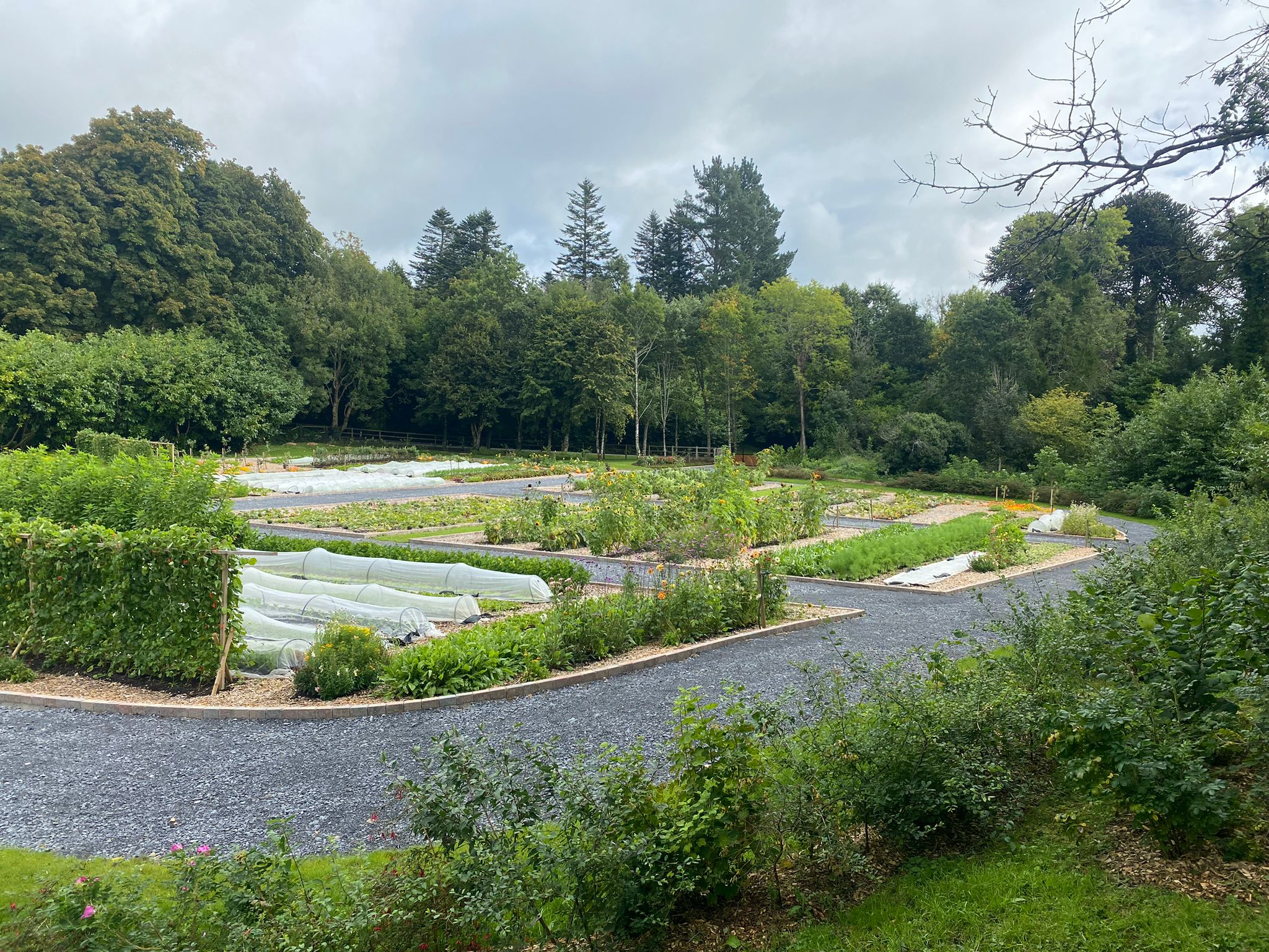 Cré: Kitchen Garden Experience, Ashford Castle, Co. Mayo, Ireland