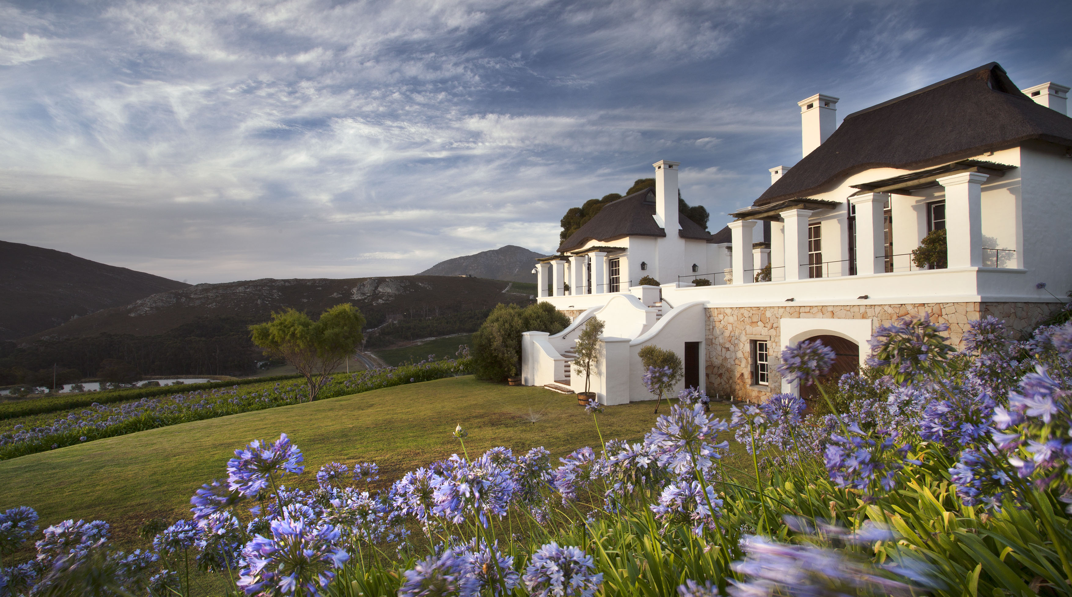 The Homestead, Bouchard Finlayson, Boutique Winery, Cape Town