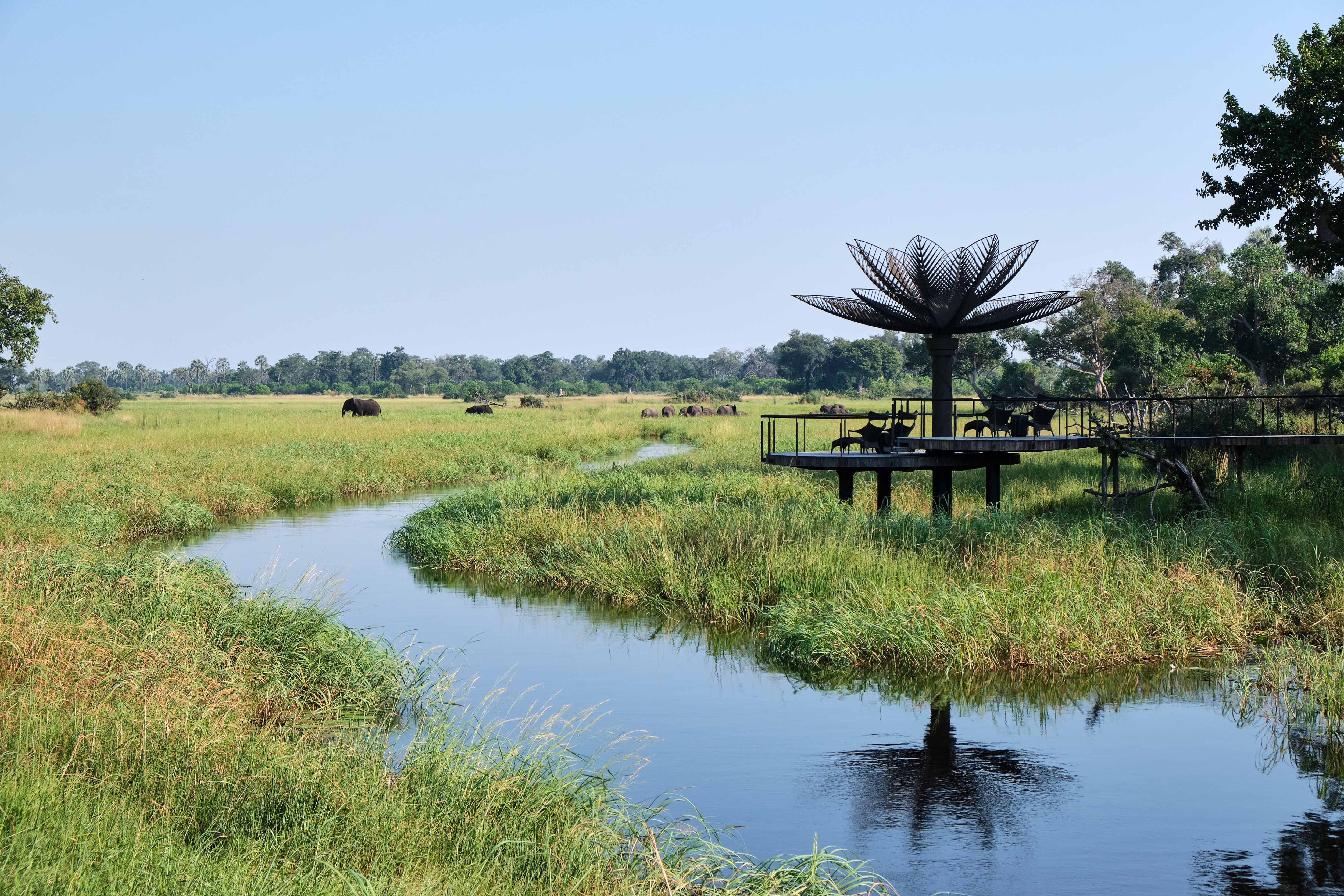 What not to miss at Xigera Safari Lodge, Okavango Delta, Botswana