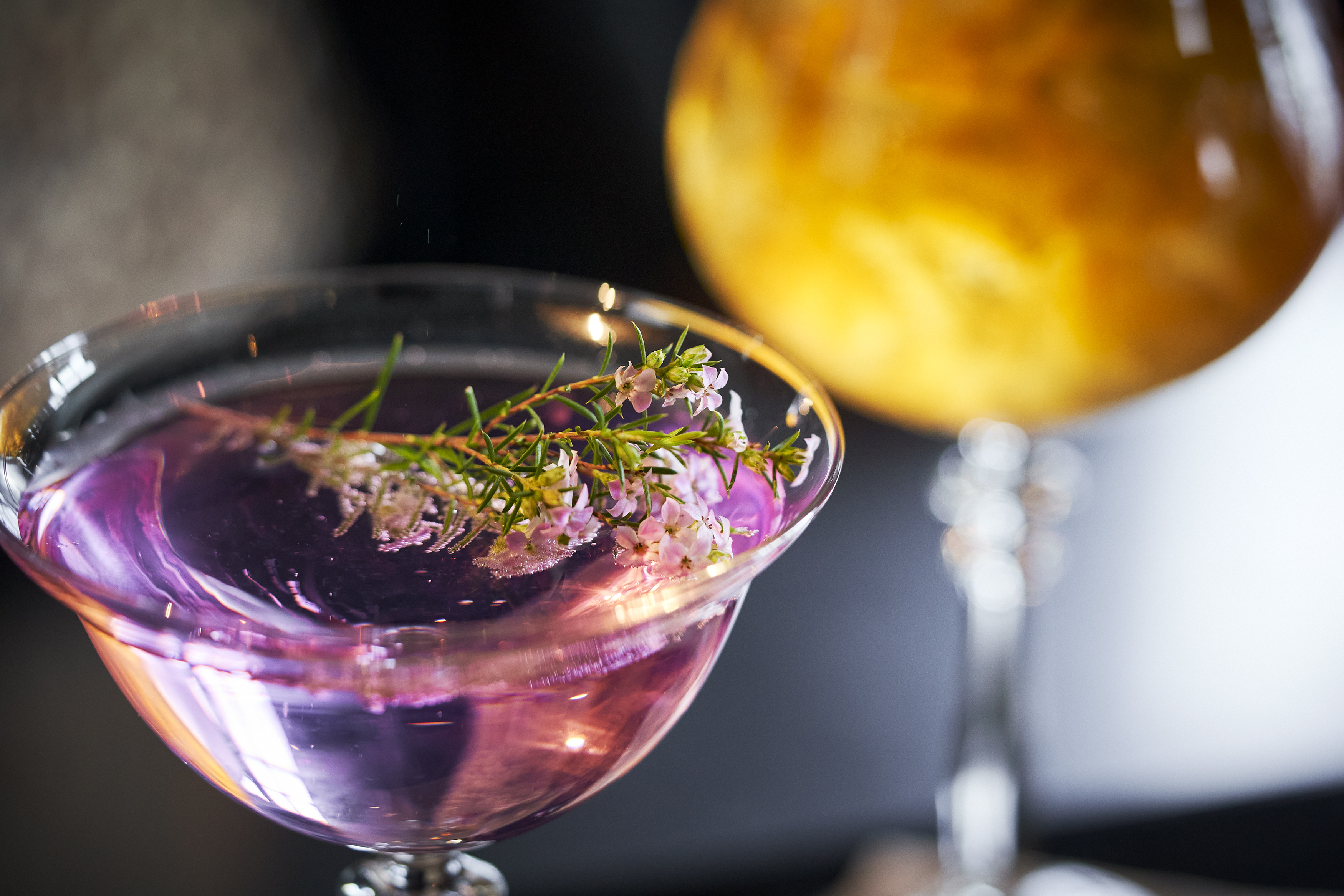 The Leopard Bar: Sundowners with Ocean Views