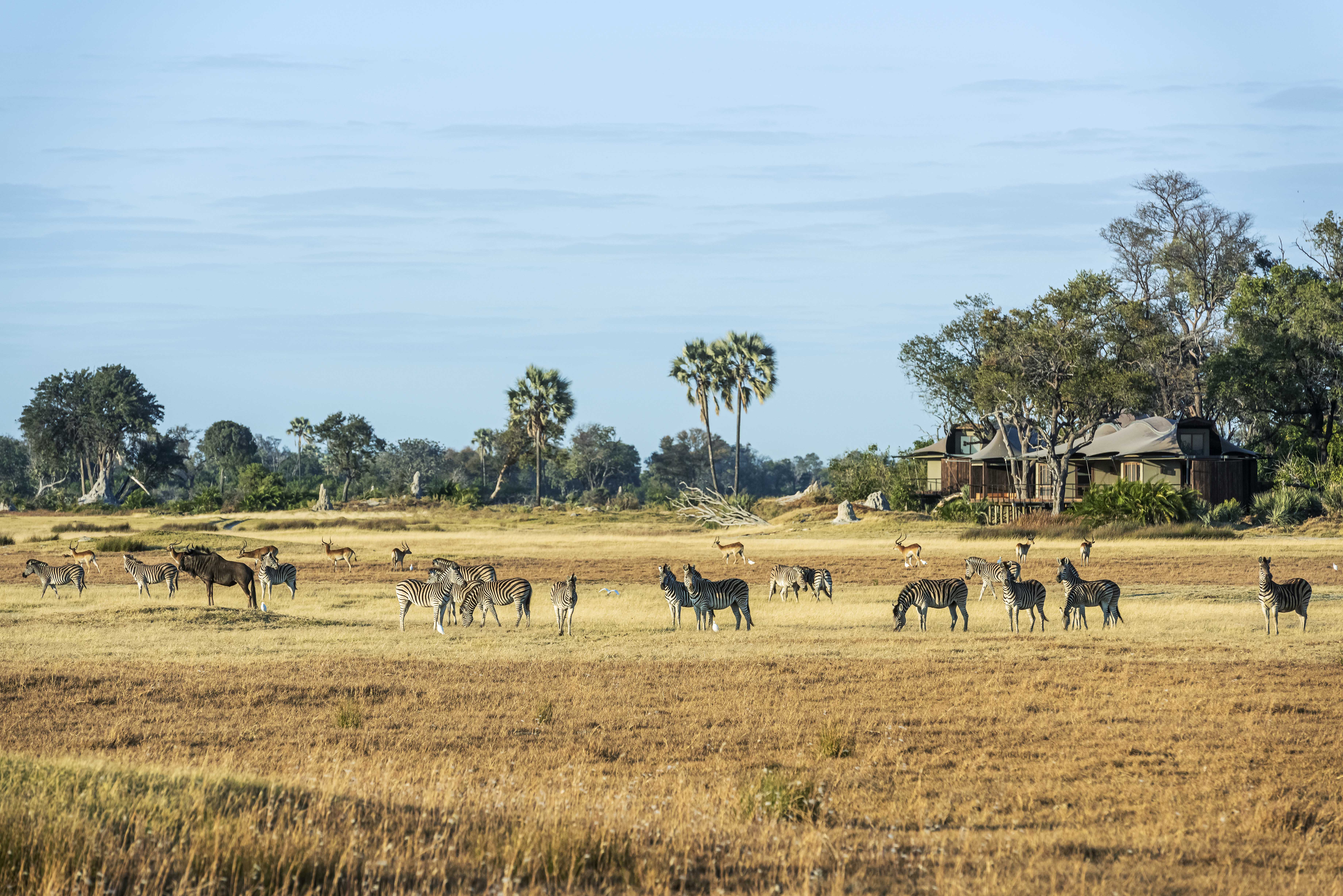 Xigera Safari Lodge Okavango Delta, Botswana Luxury Safari