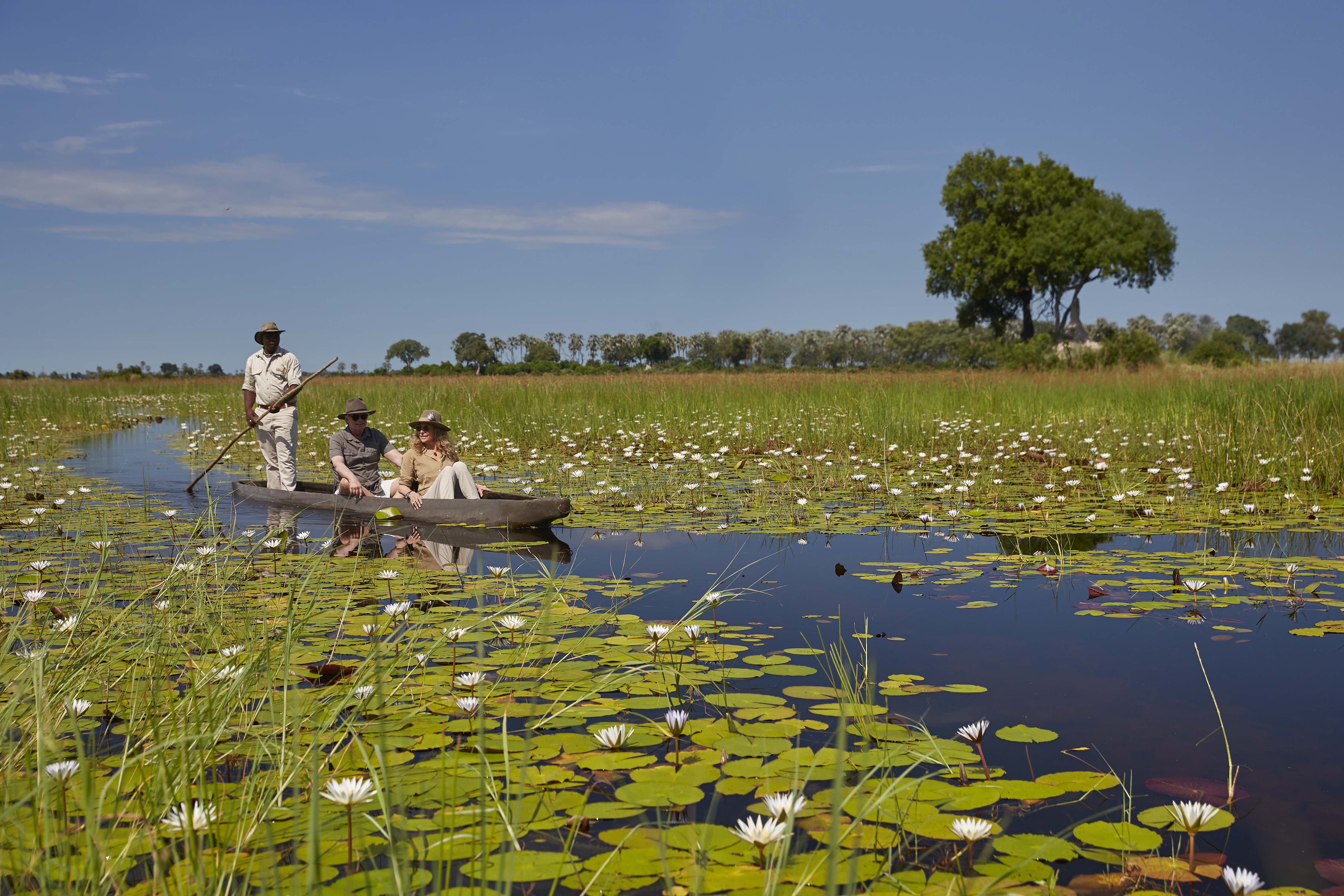 Birding At Xigera Safari Lodge, Botswana