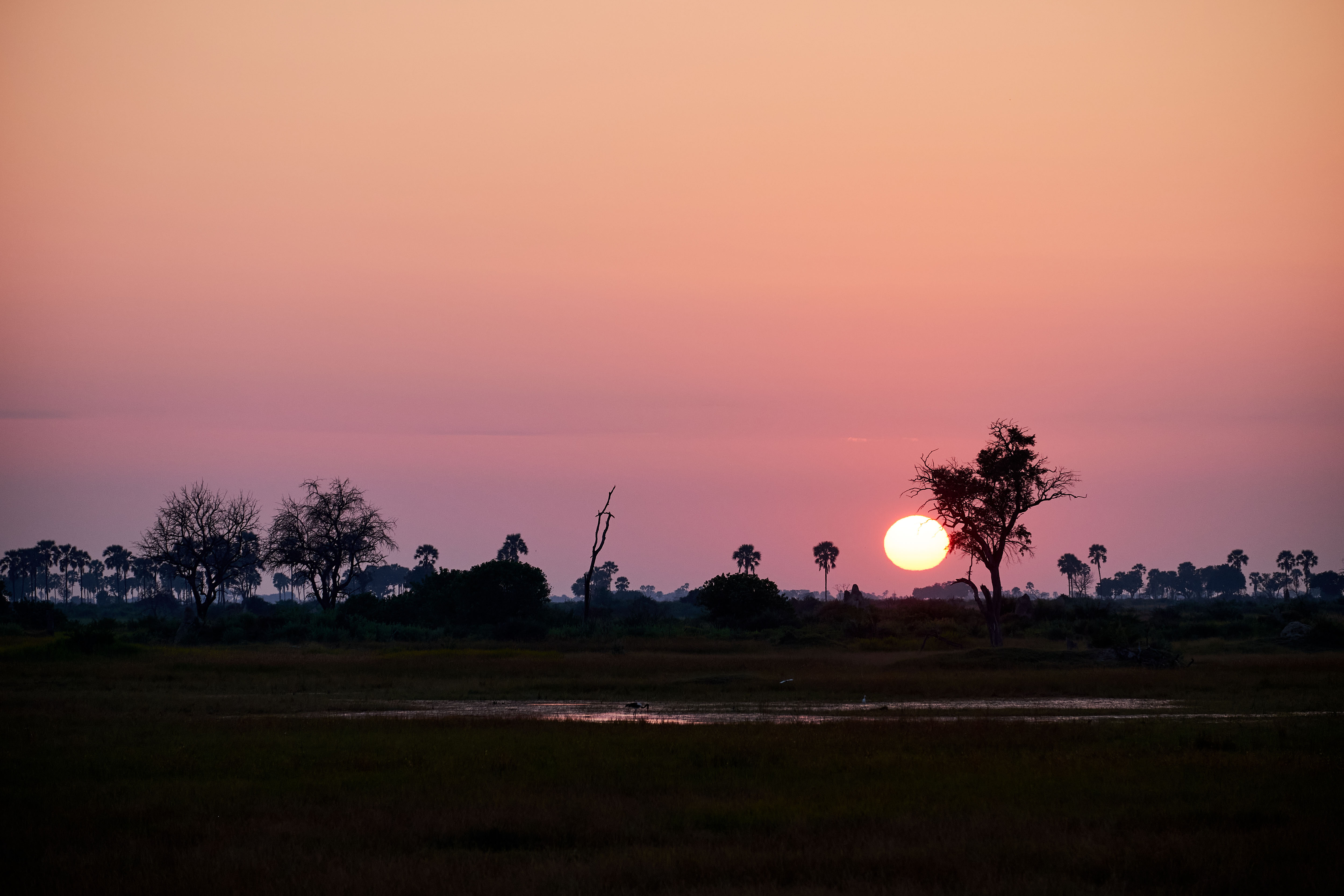 Honeymoons at Xigera Safari Lodge