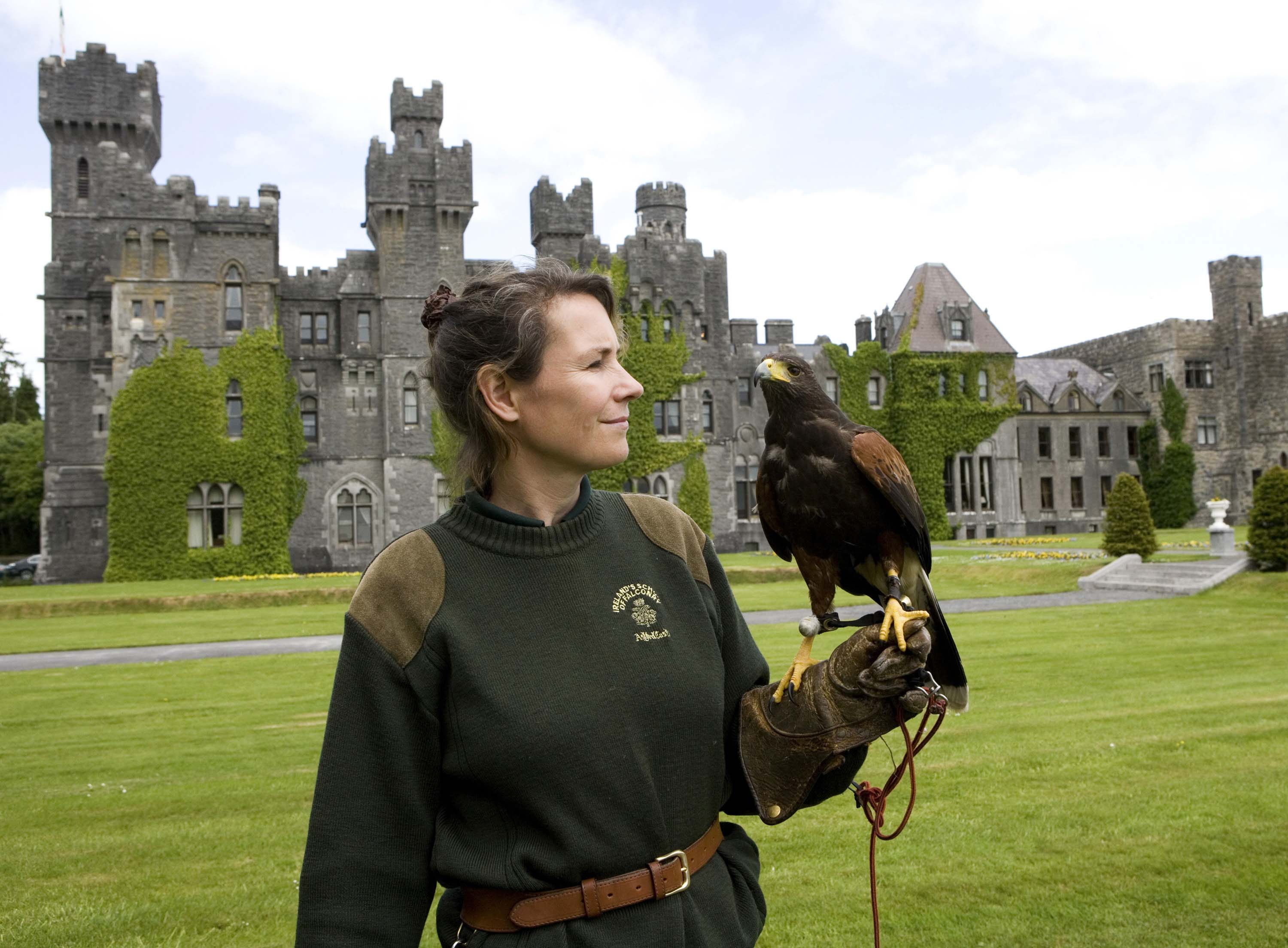 Falconry Ireland | The Lodge at Ashford Castle, Co Mayo, Ireland